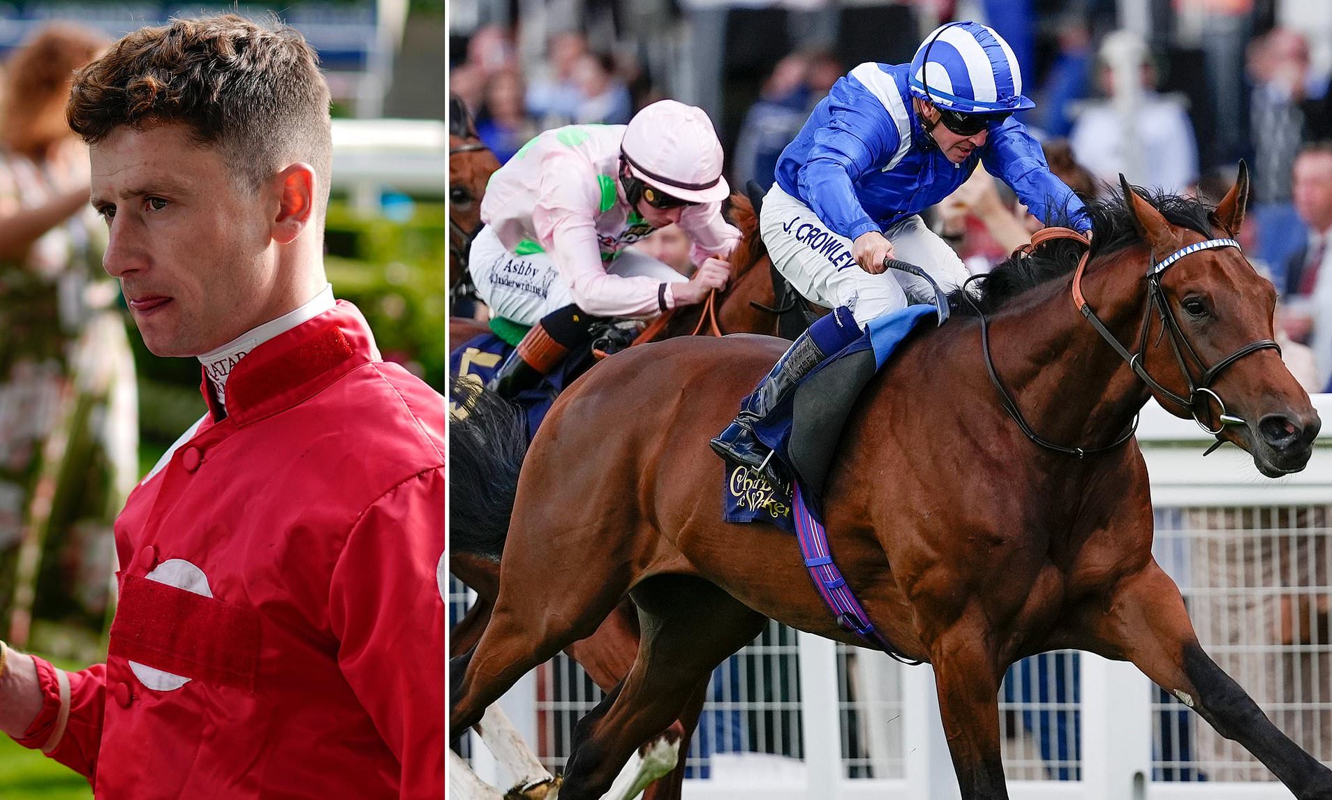 Horse dies and jockey is hospitalised after rough fall at Ascot as ...