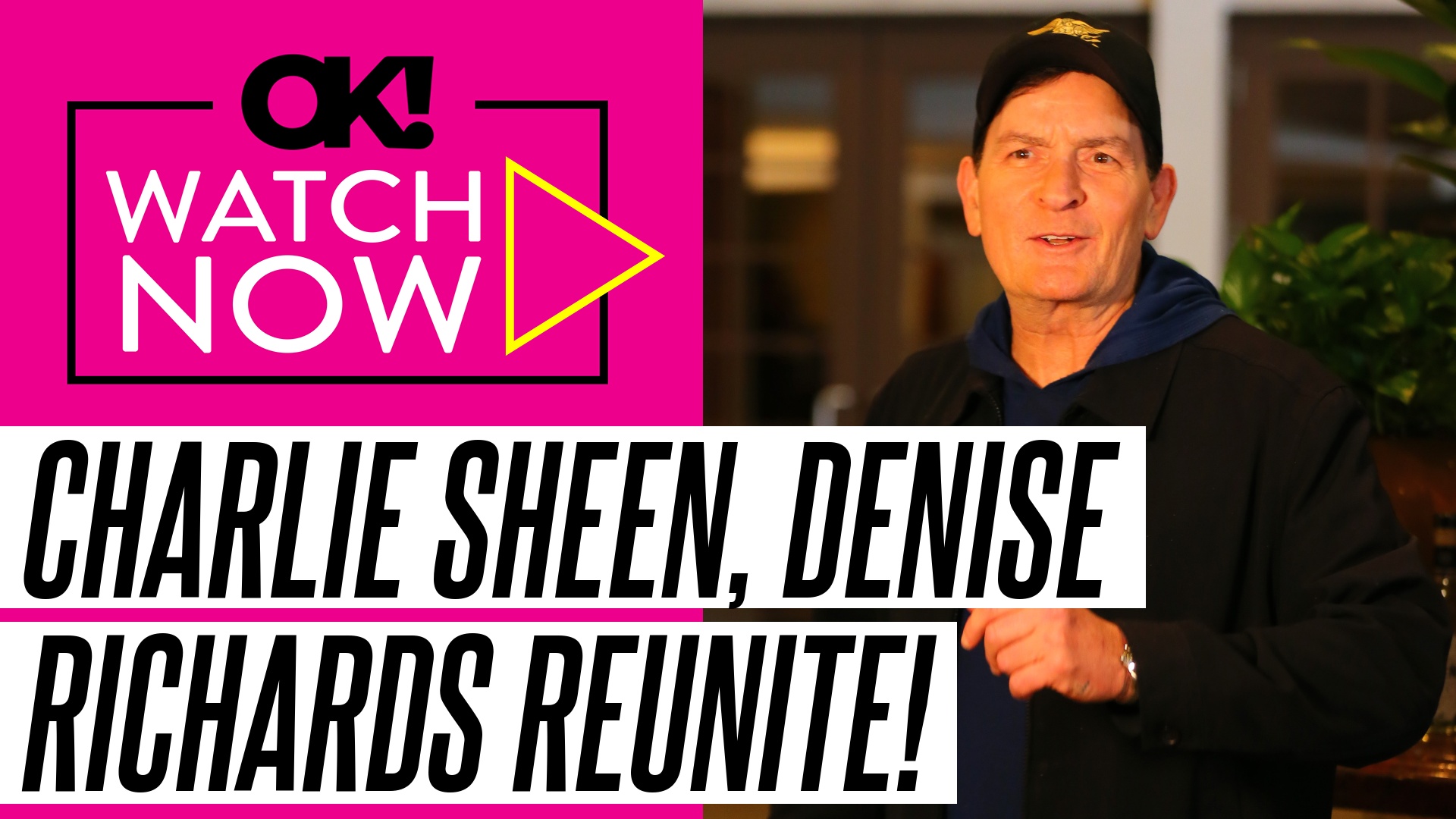 Exes Charlie Sheen and Denise Richards Reunite Years After Explosive ...