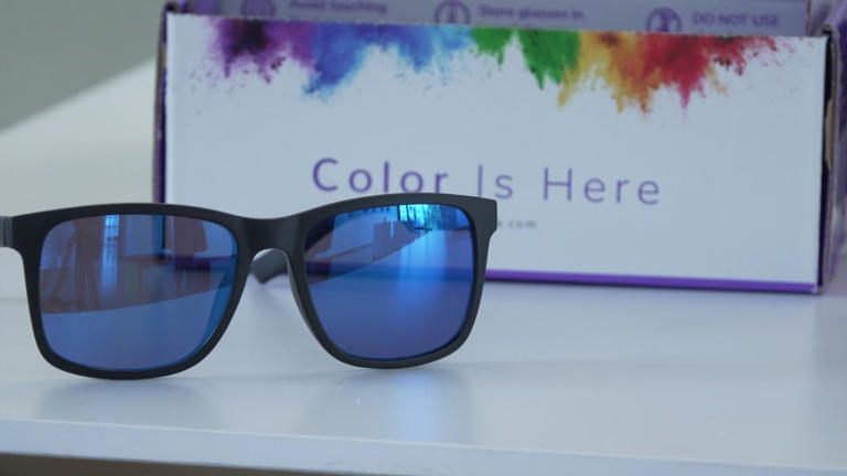 EnChroma color blind glasses giveaway at L.E. Phillips Library