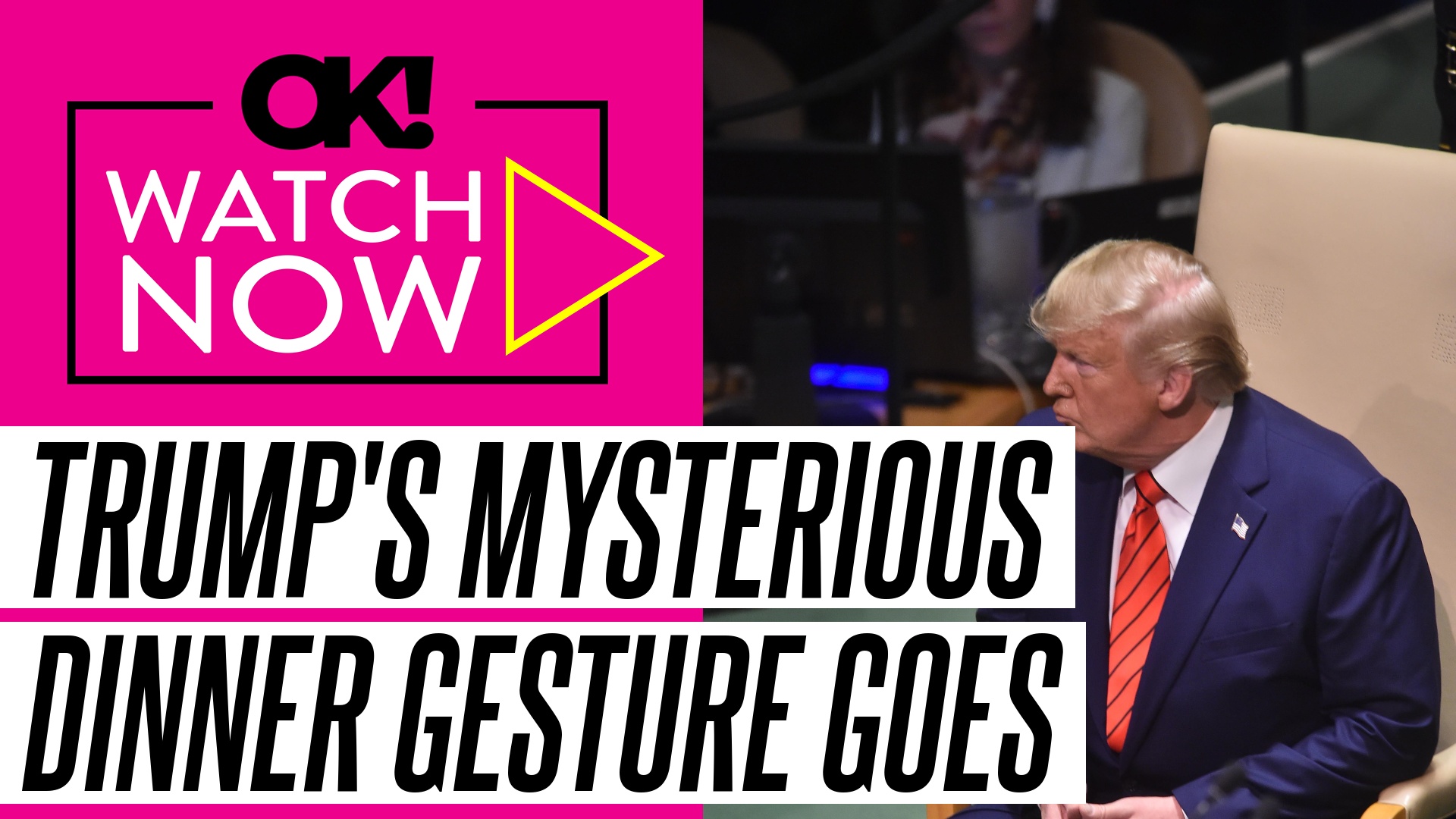 Donald Trump Hides His Bruised Hands During Dinner With Tech Giants ...