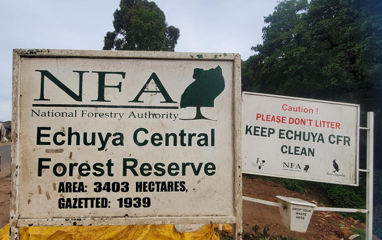 Authentic Photos Of The Batwa People, Who Lived Peacefully Until They ...