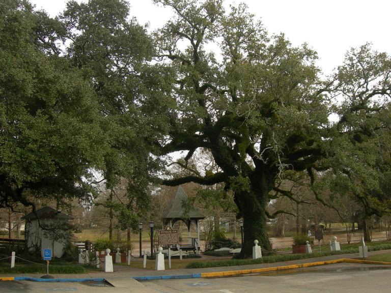 Must-See Historic Landmarks in Louisiana: Exploring the Rich History of ...