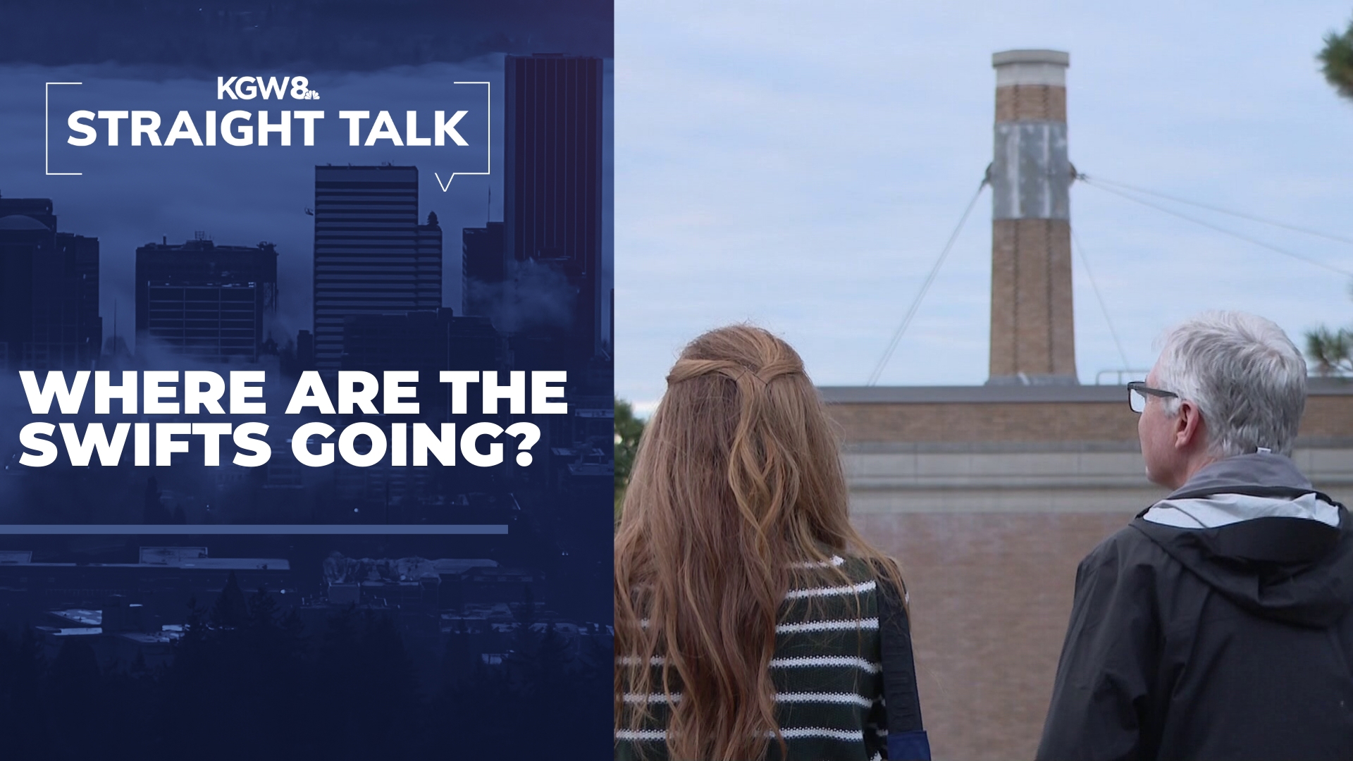 As Vaux's swifts change up their migration habits, Portlanders wonder ...