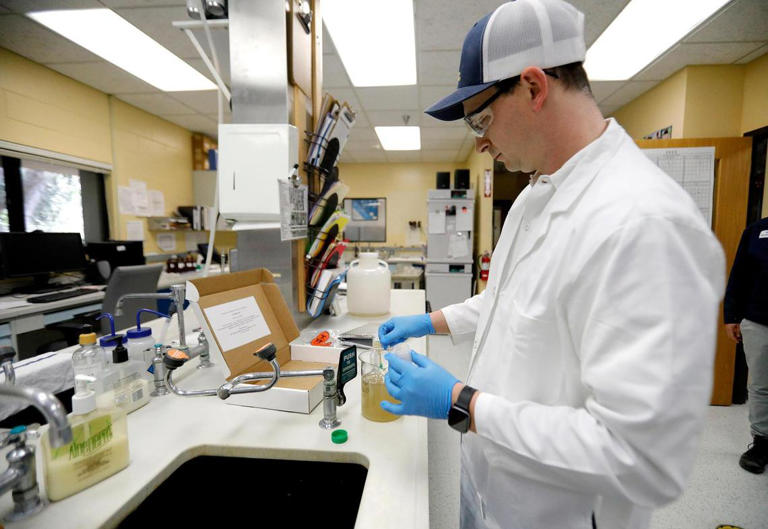 COVID-19 is on rise in SLO County. What's behind the summer surge?