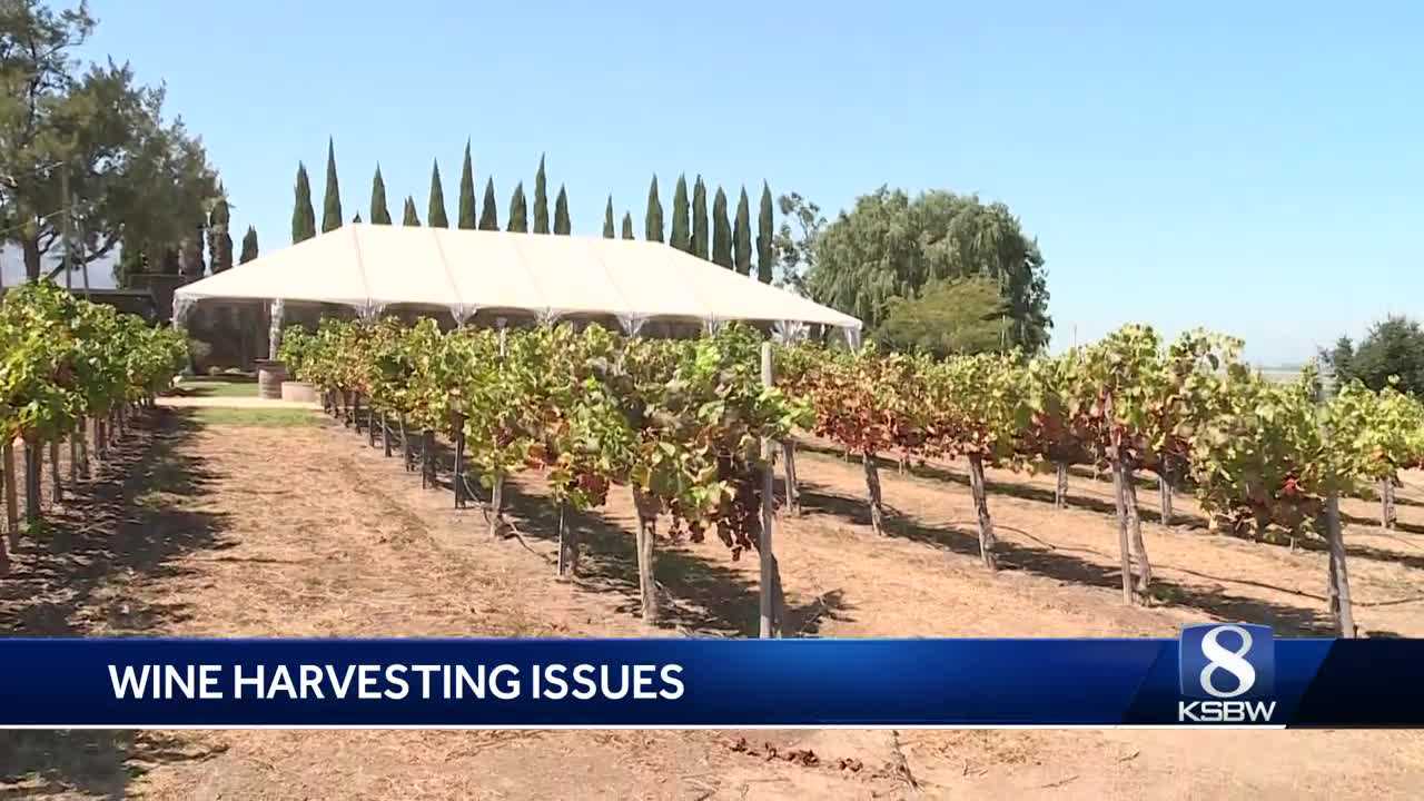 Soledad vineyard closes after 51 years amid wine industry challenges