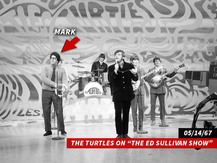 'The Turtles' Guitarist Mark Volman Dead at 78
