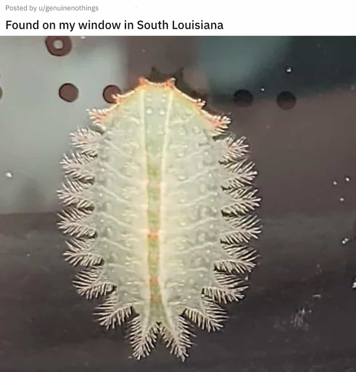 Weird objects people found, identified