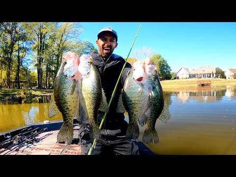 Slabs go crazy in creek during insane crappie fishing trip