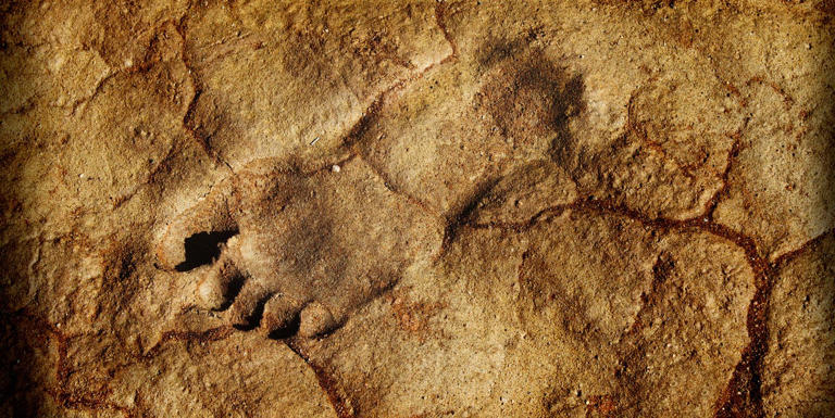 Archaeologists Found 300,000-Year-Old Human Footprints That Rewrite ...