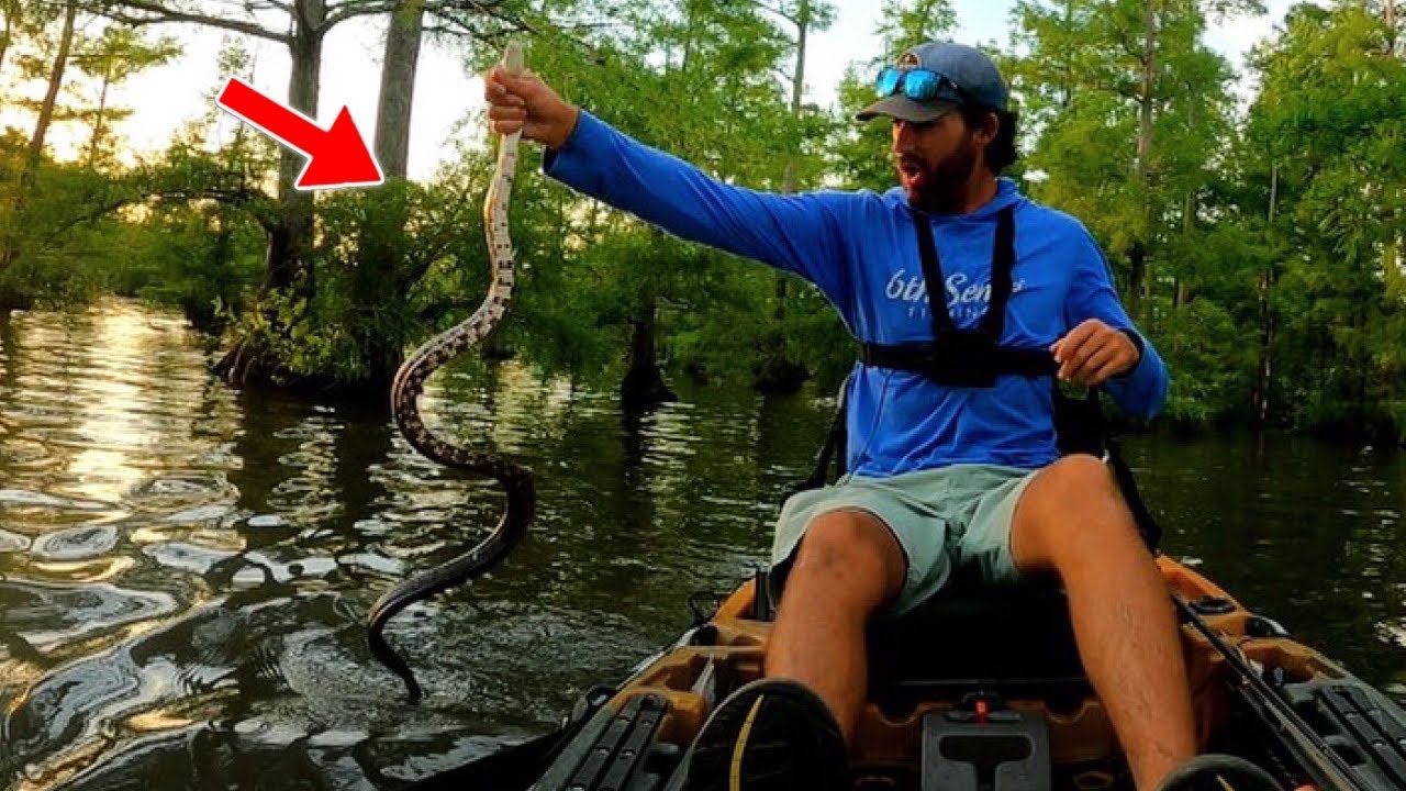 Giant Snake Charged at Me—Here’s What Happened Next