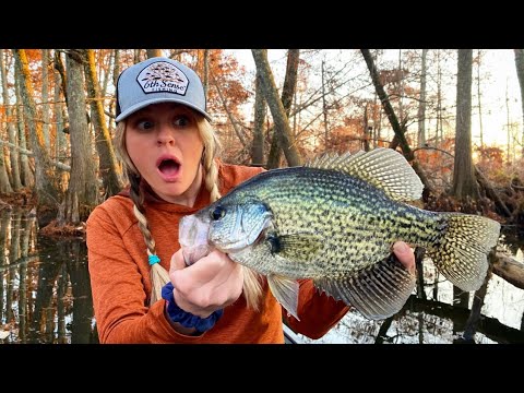 The Secrets Behind Landing Monster Swamp Crappie