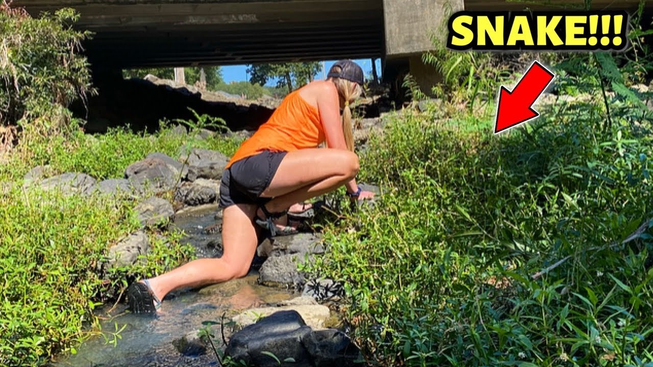 Snake Bite Happens While Fishing Urban Creek Stream