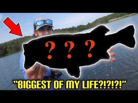 How Giant Bait Tricks Massive Fish Into Biting