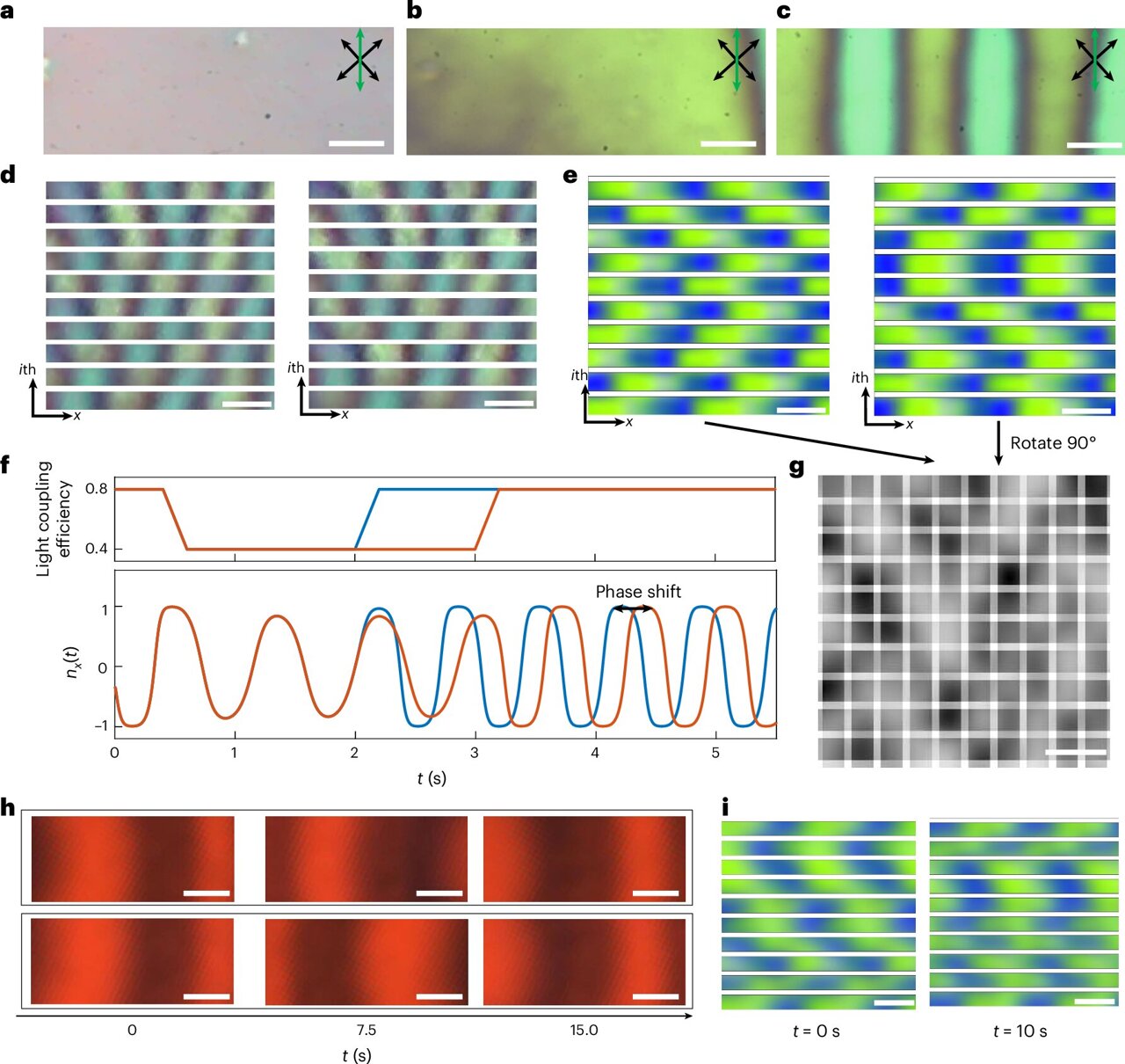 Physicists create a new kind of time crystal that humans can actually see