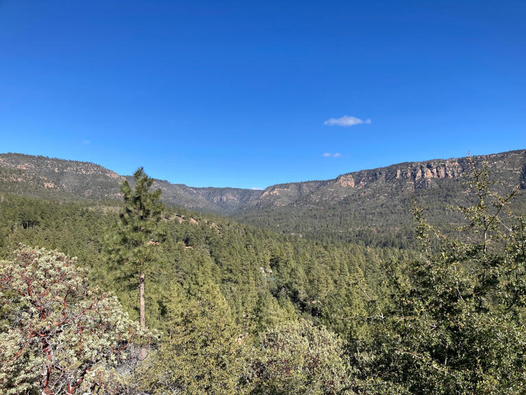 29-year-old woman camping near Mogollon Rim falls to her death