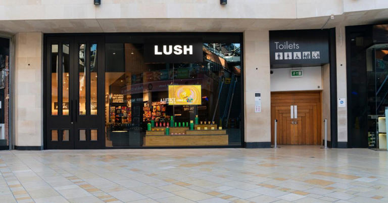 Fact Check: Who Owns Lush Cosmetics Amid Shutdown in Solidarity With Gaza?