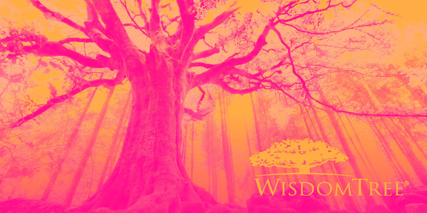 WisdomTree (WT) Stock Trades Down, Here Is Why