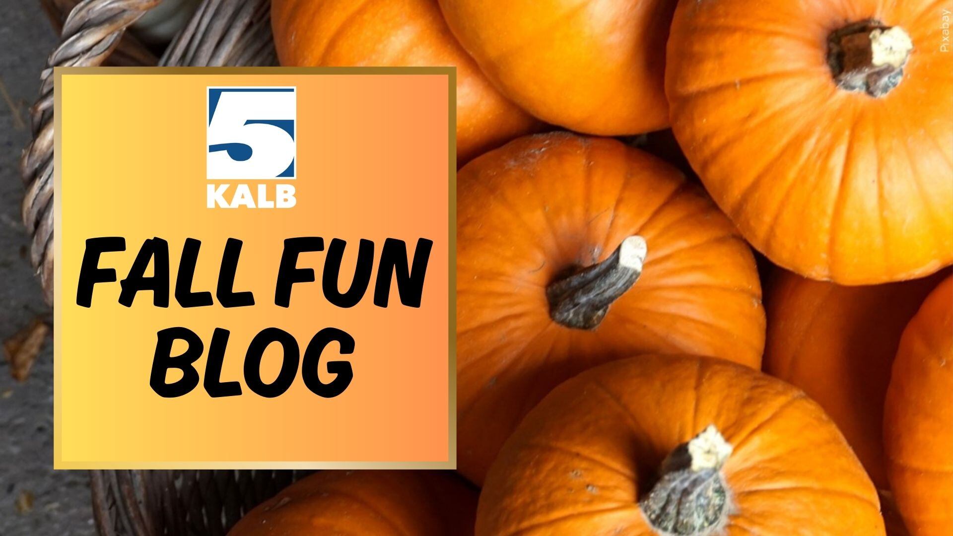 FALL FUN BLOG 2025