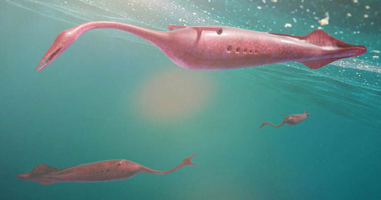 Giant predator worms dominated the seas before dinosaurs, 500-million ...