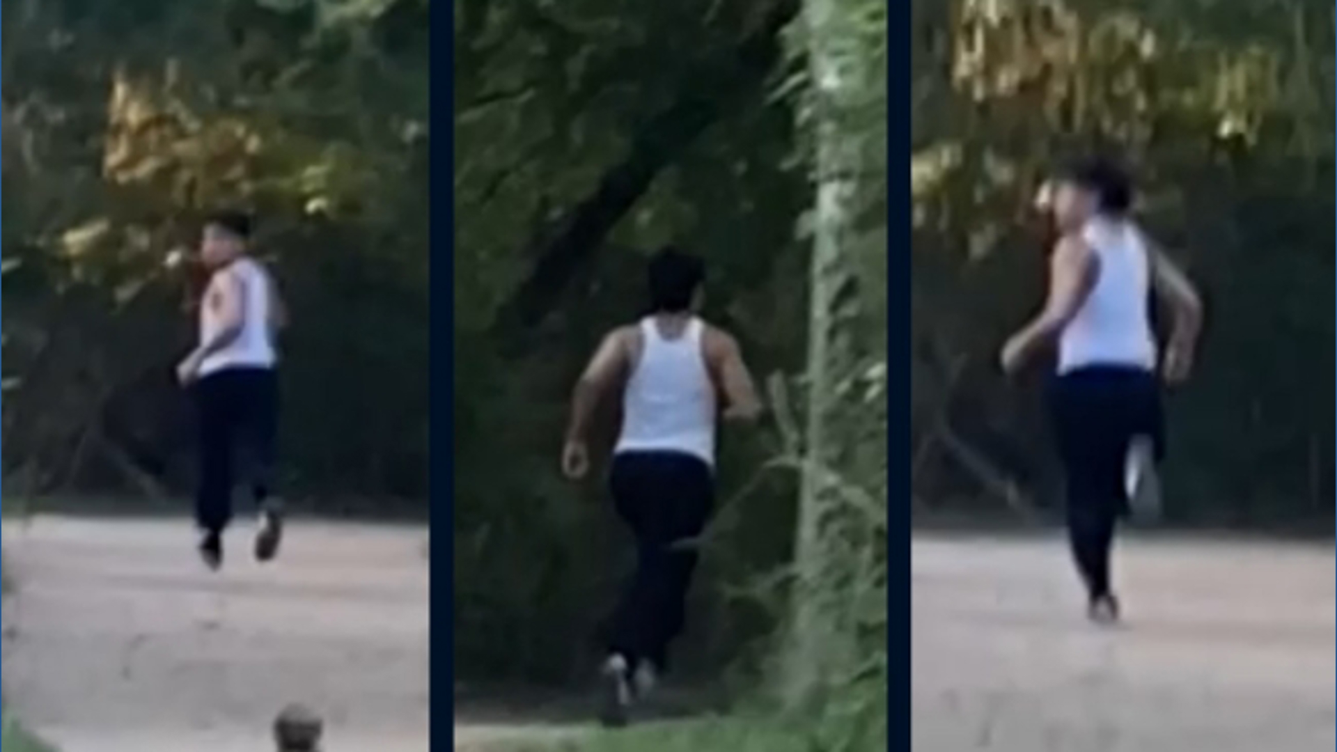 Pasadena police trying to ID suspect accused of groping female jogger ...