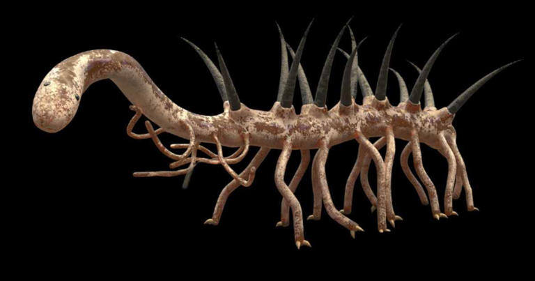 Giant predator worms dominated the seas before dinosaurs, 500-million ...