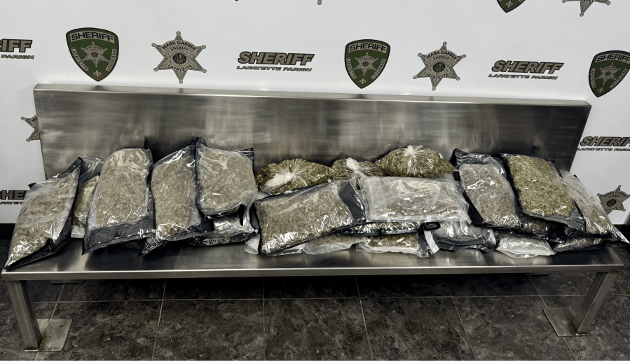 Over 40 lbs. of marijuana seized in Broussard drug raid Thursday