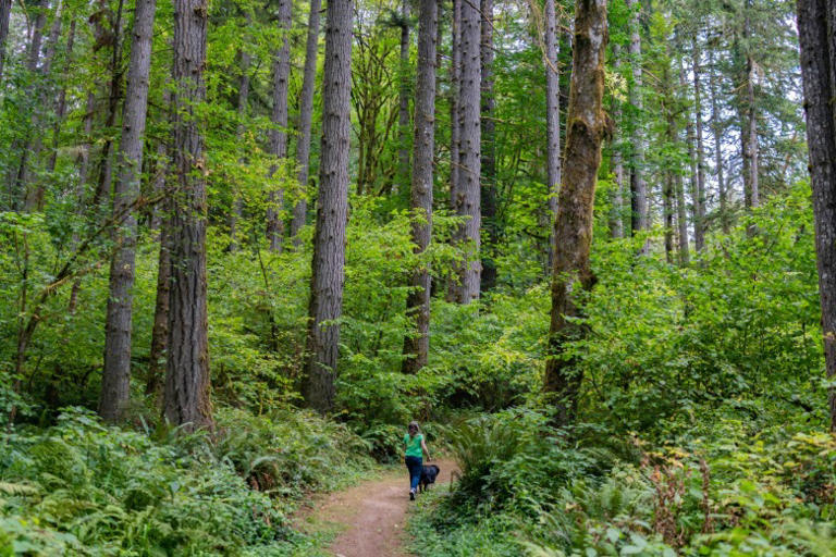 The Sony RX1R III's Best Trick Is Hiding Pro-Level Photos In A Compact ...