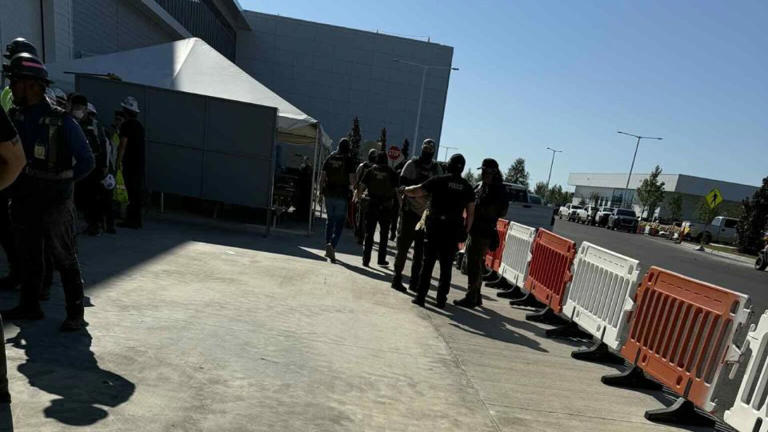 Massive immigration raid at Hyundai megaplant in Georgia leads to 475 ...