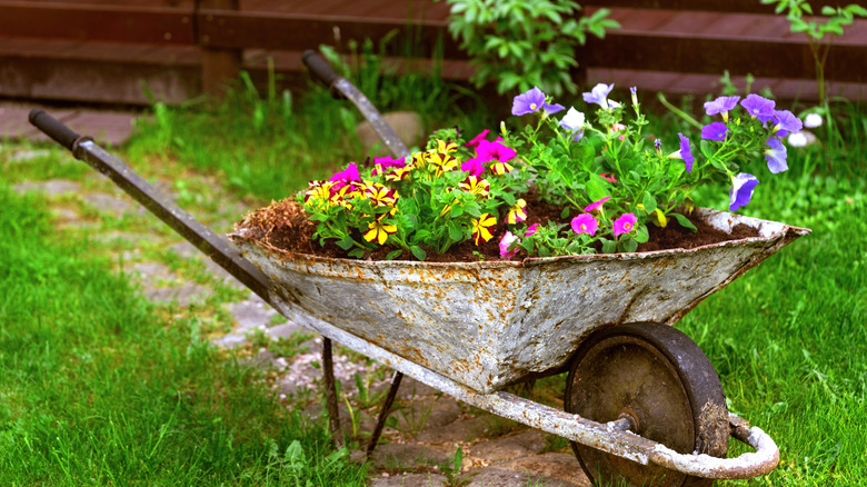 13 Unique Flower Bed Decor Ideas To Make Your Lawn Stand Out