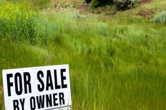 Experts issue warning after man considers building homestead community ...