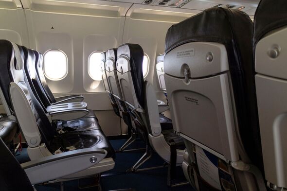 What small black triangle on aircraft actually means and it's really ...