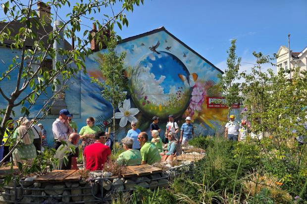 'Glorious' award-winning garden takes root in the heart of the city