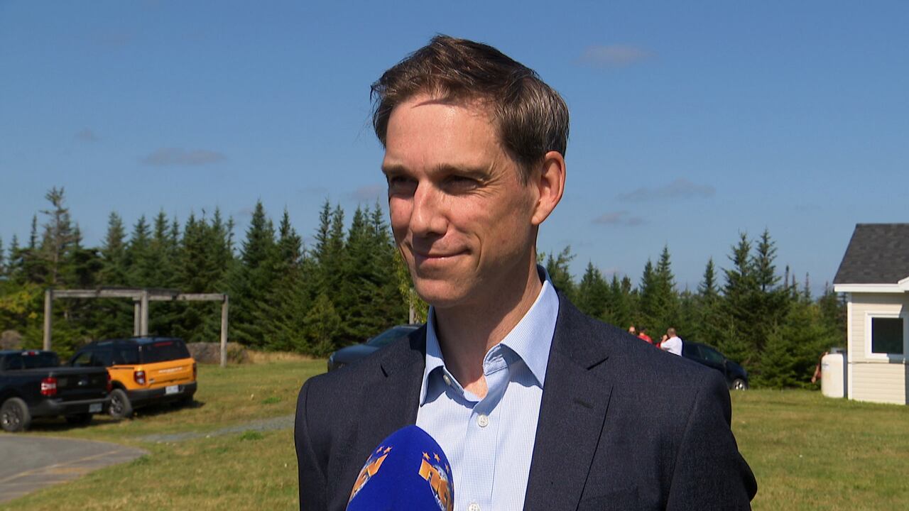 As N.L. election draws nearer, Liberal and PC leaders make flurry of ...