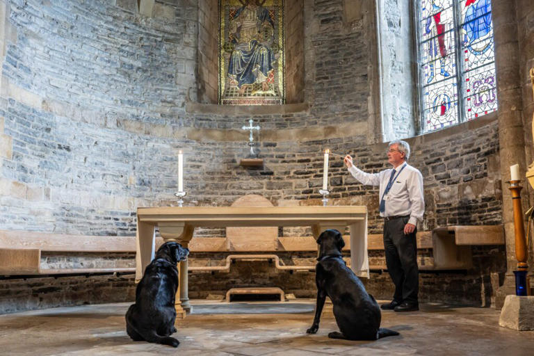 Abbey’s beloved verger dogs retire as historic building gets too cold