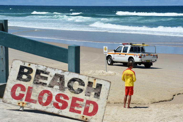 Woman critically injured after shark mauling at Australia’s Coogee Beach