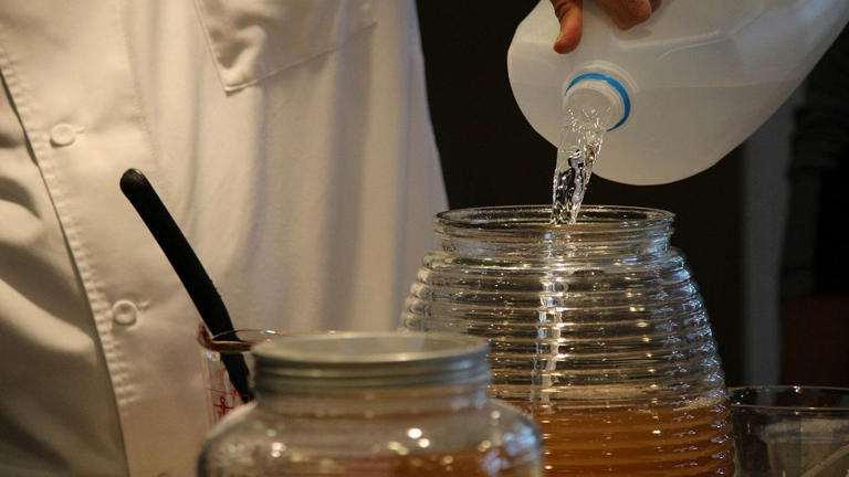 Resep dan Cara Membuat Kombucha Lengkap dengan Khasiatnya untuk Tubuh