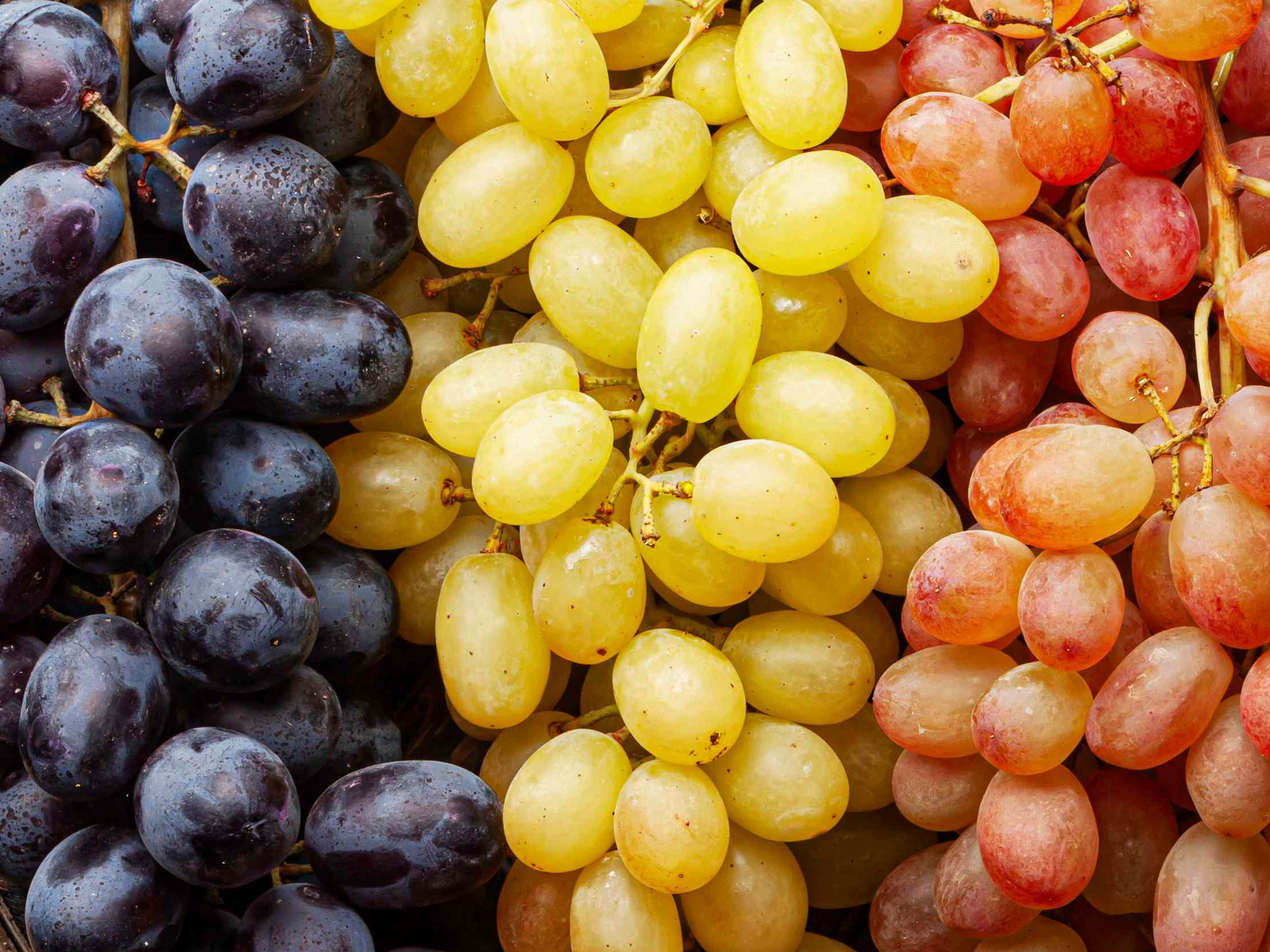 How to pick the right grapes for snacking, cheese boards, and more