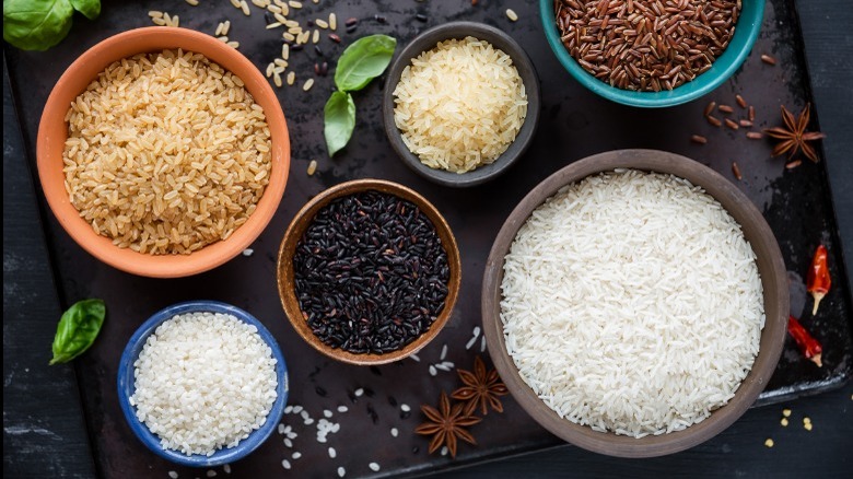 Everything You Need To Know About Rice