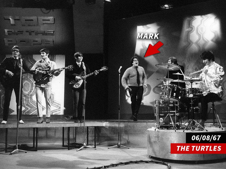 'The Turtles' Guitarist Mark Volman Dead at 78