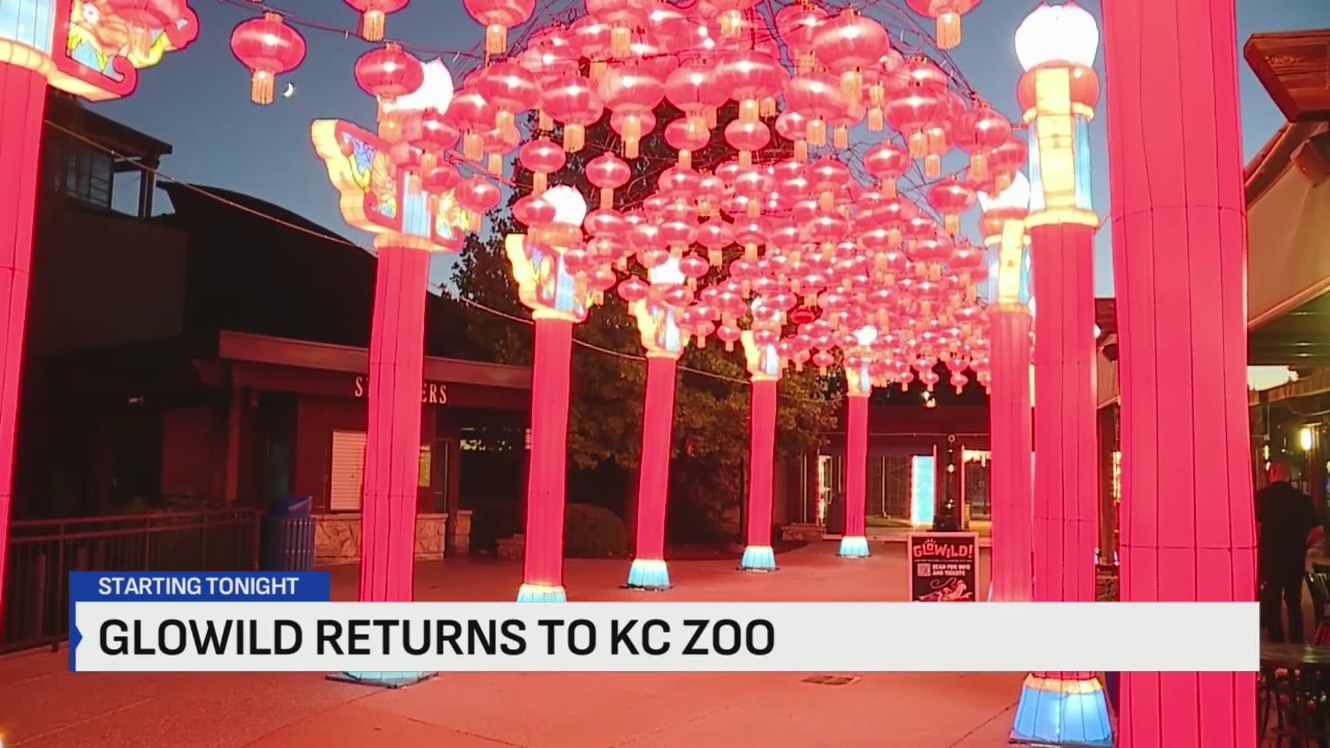 GloWild lantern festival returns to Kansas City Zoo