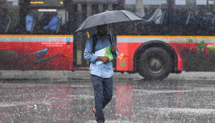 From Floods To Forecasts: As Punjab Recovers, IMD Issues Widespread ...