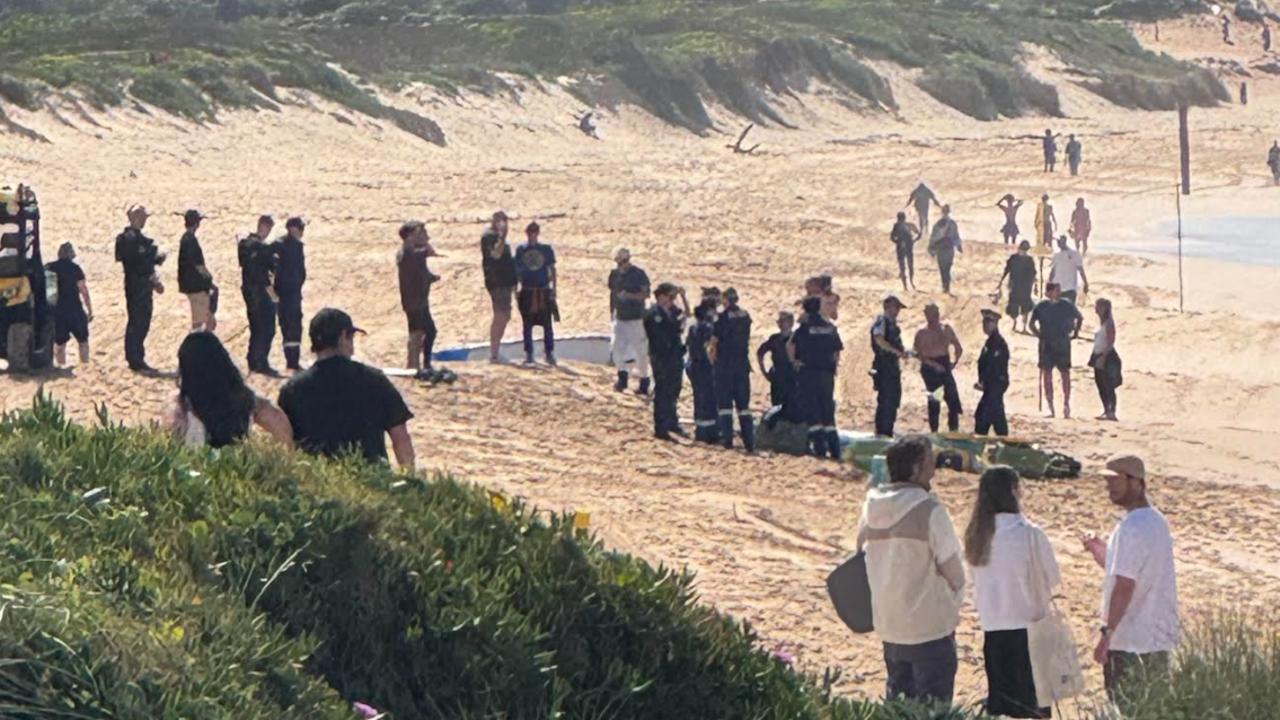 ‘Don’t bite me’: Shark attack witness speaks