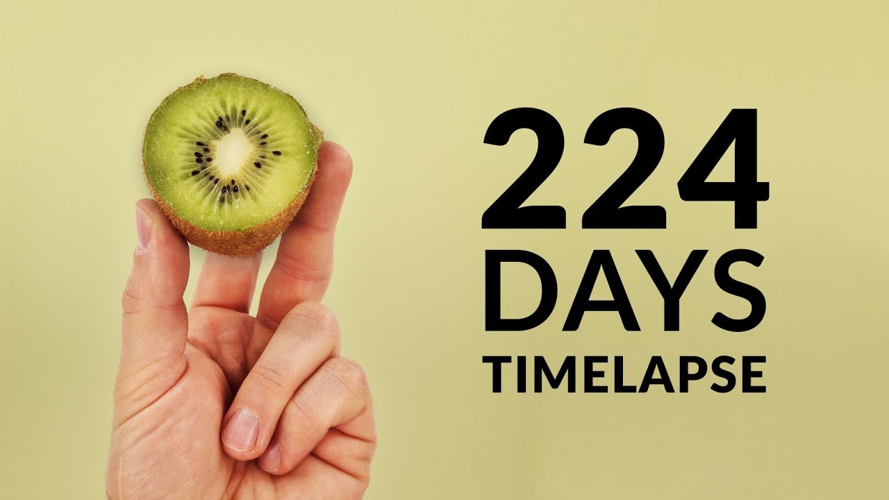 224 Days of Kiwi Growing – Time-lapse!