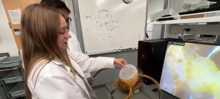 Michigan State University researchers detecting cancer in humans with bugs