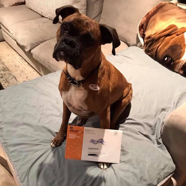 Orange County woman who registered dog to vote said she did so to ...