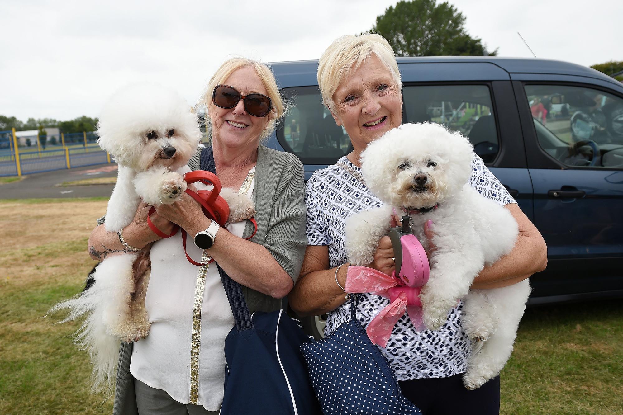 35 pictures of Pups in the Park event in Grangemouth's Inchyra Park