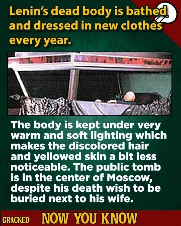 20 Mind Altering Facts That Kept Us Awake All Night