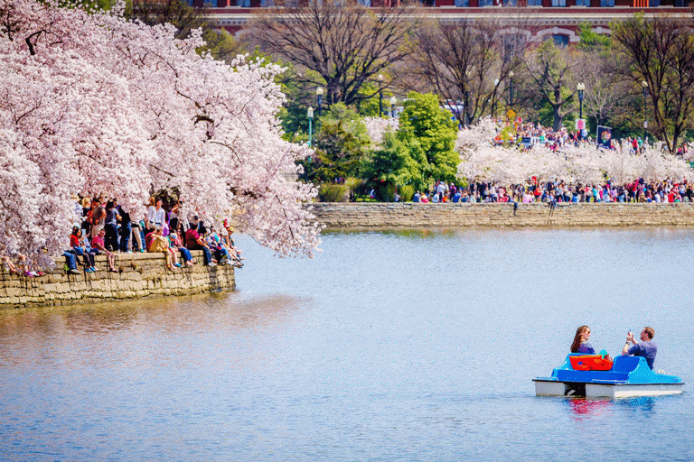 How to spend 72 hours in Washington DC: What to eat, drink, see and where to stay