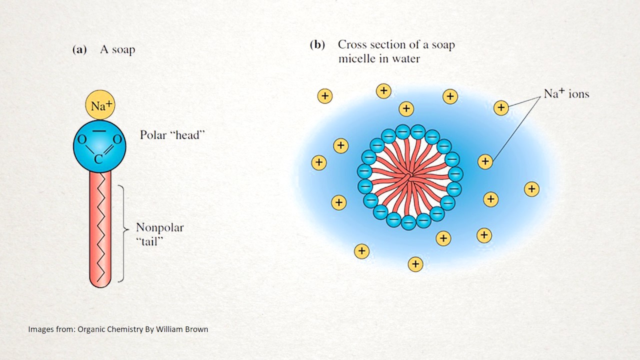 The Science of How Soap Breaks Down Dirt and Germs