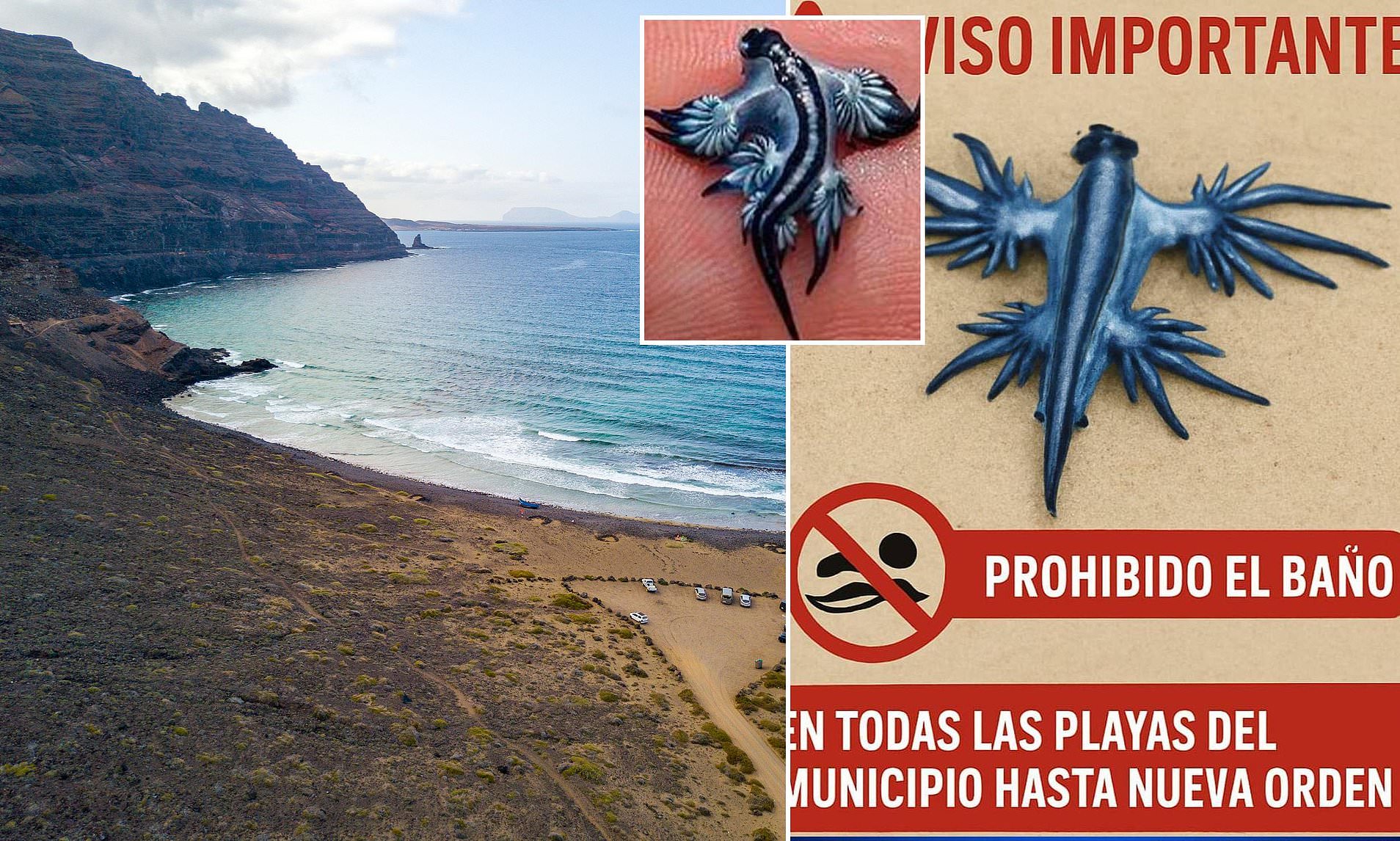Another Spanish beach closed as invasion of potentially deadly sea ...